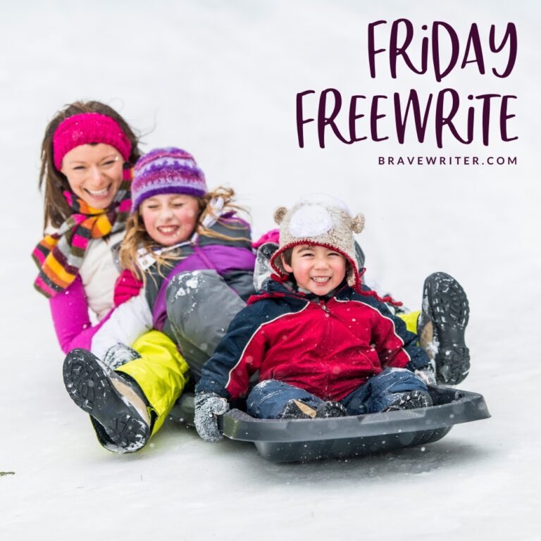 Friday Freewrite: Winter Activity - A Brave Writer's Life in Brief A ...