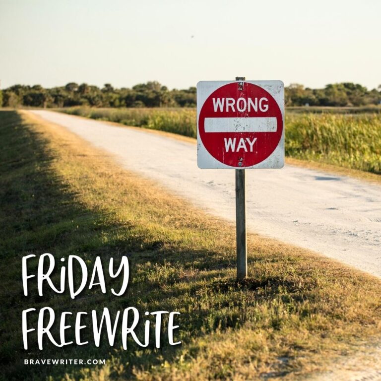 Friday Freewrite: Wrong Way - A Brave Writer's Life in Brief A Brave ...